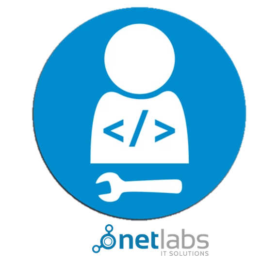 Aula Virtual Netlabs